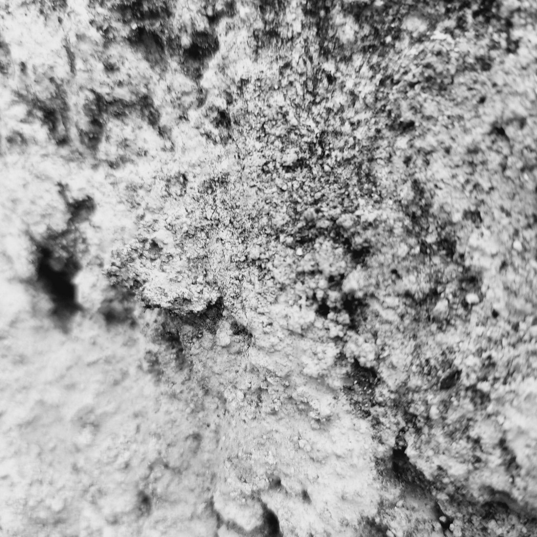 Asbestos Ban: Rules, Regulations, and Laws Everybody Should Know - RidAway